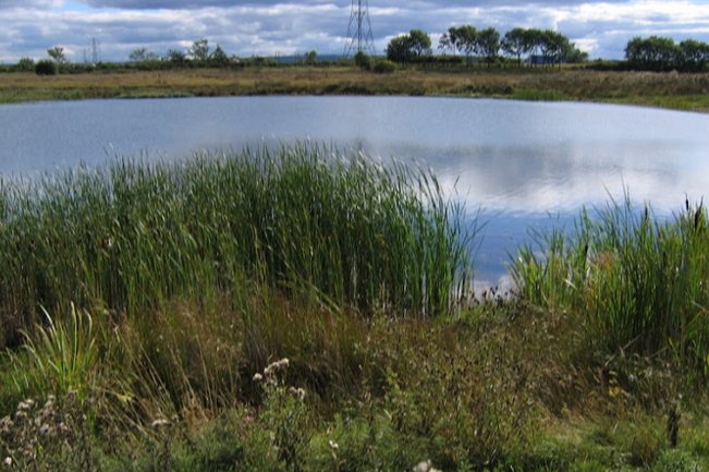 Nature Based Solutions to Flood Management - Flood Innovation