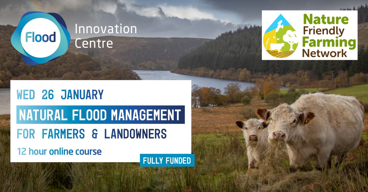 What is Natural Flood Management? - Flood Innovation